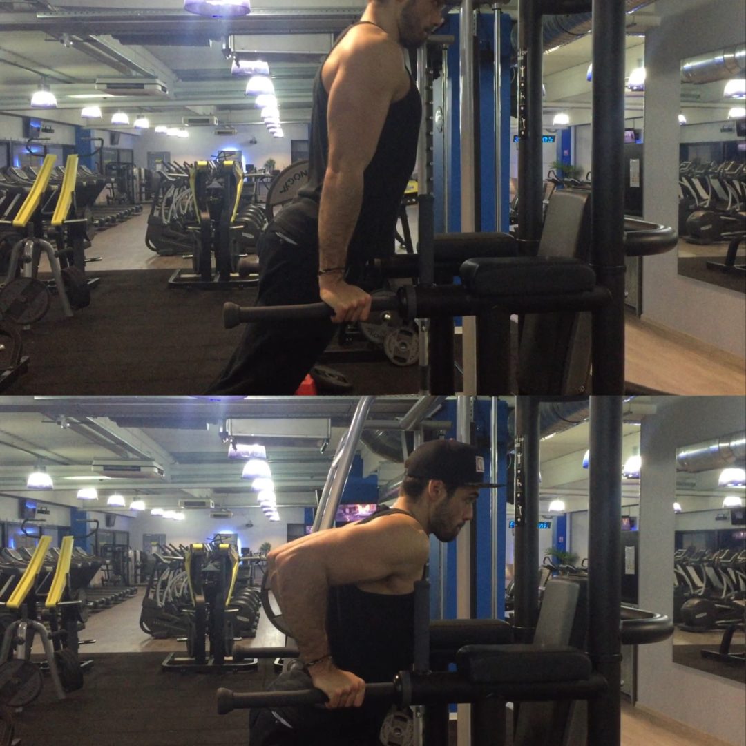 Dips | Natty Fitness