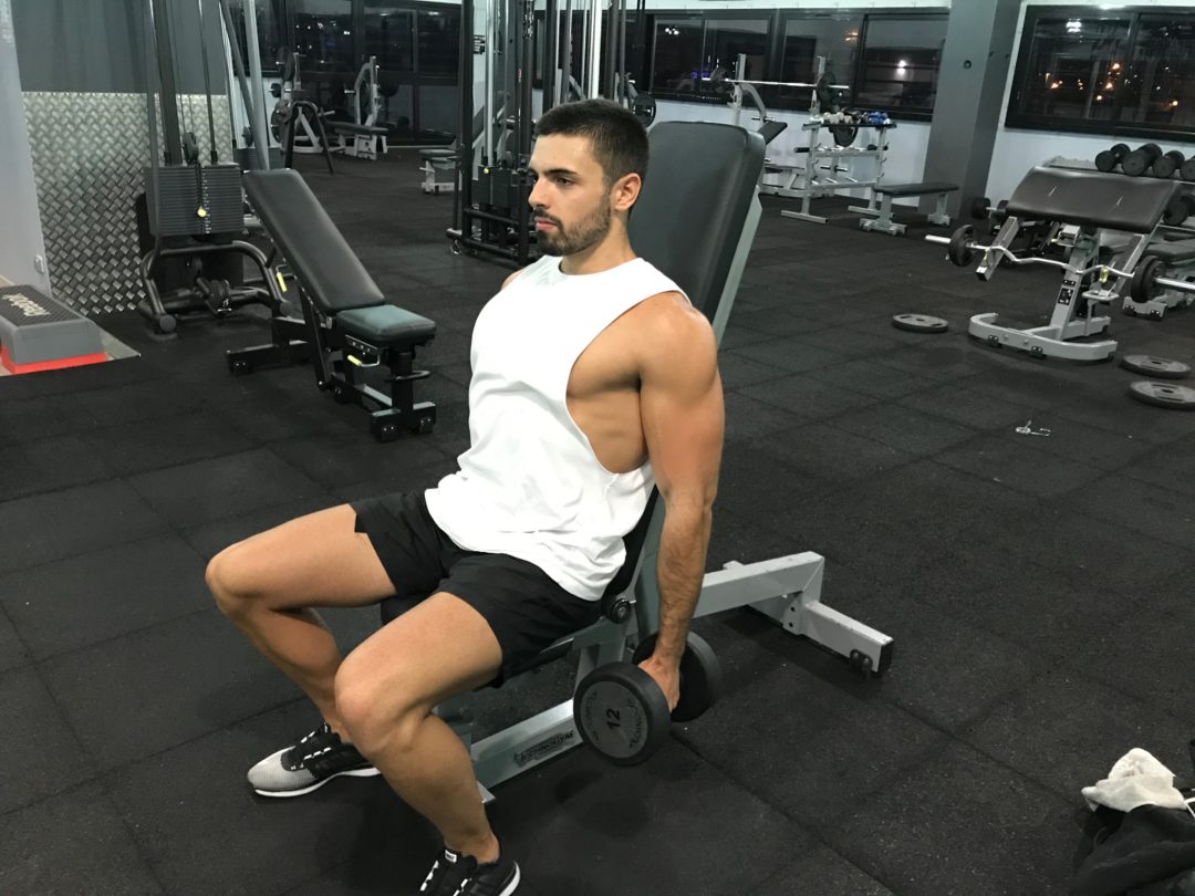 Curl hatlères assis-1 | Natty Fitness